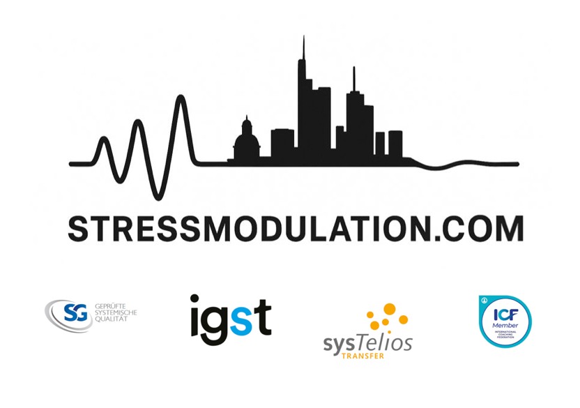 Stressmodulation = Stressoren nutzen | Management-Mentoring